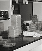 Boral Material Technologies Inc.